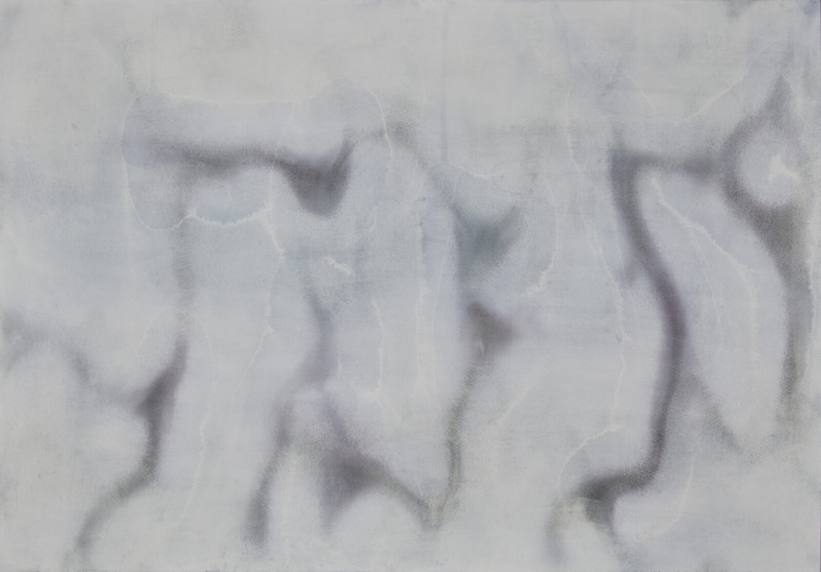 Sally Ward – Artist